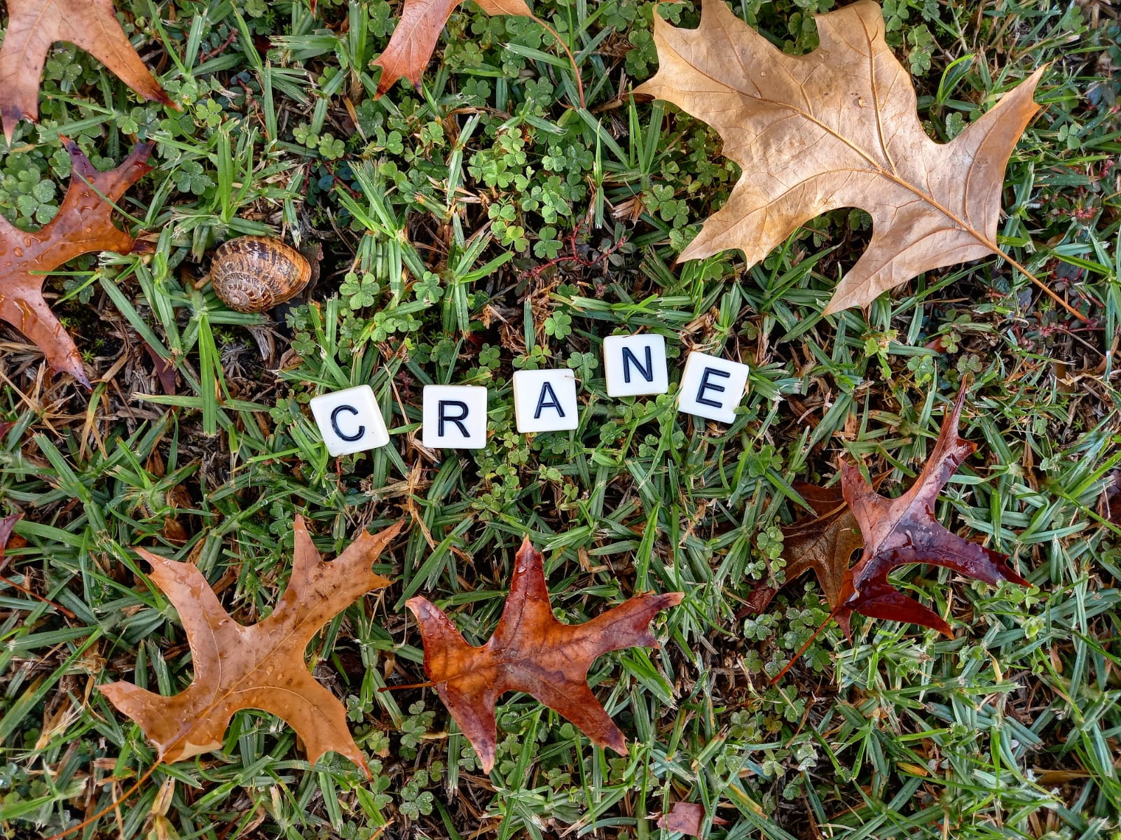 3 Habits for Heroes — Juizi