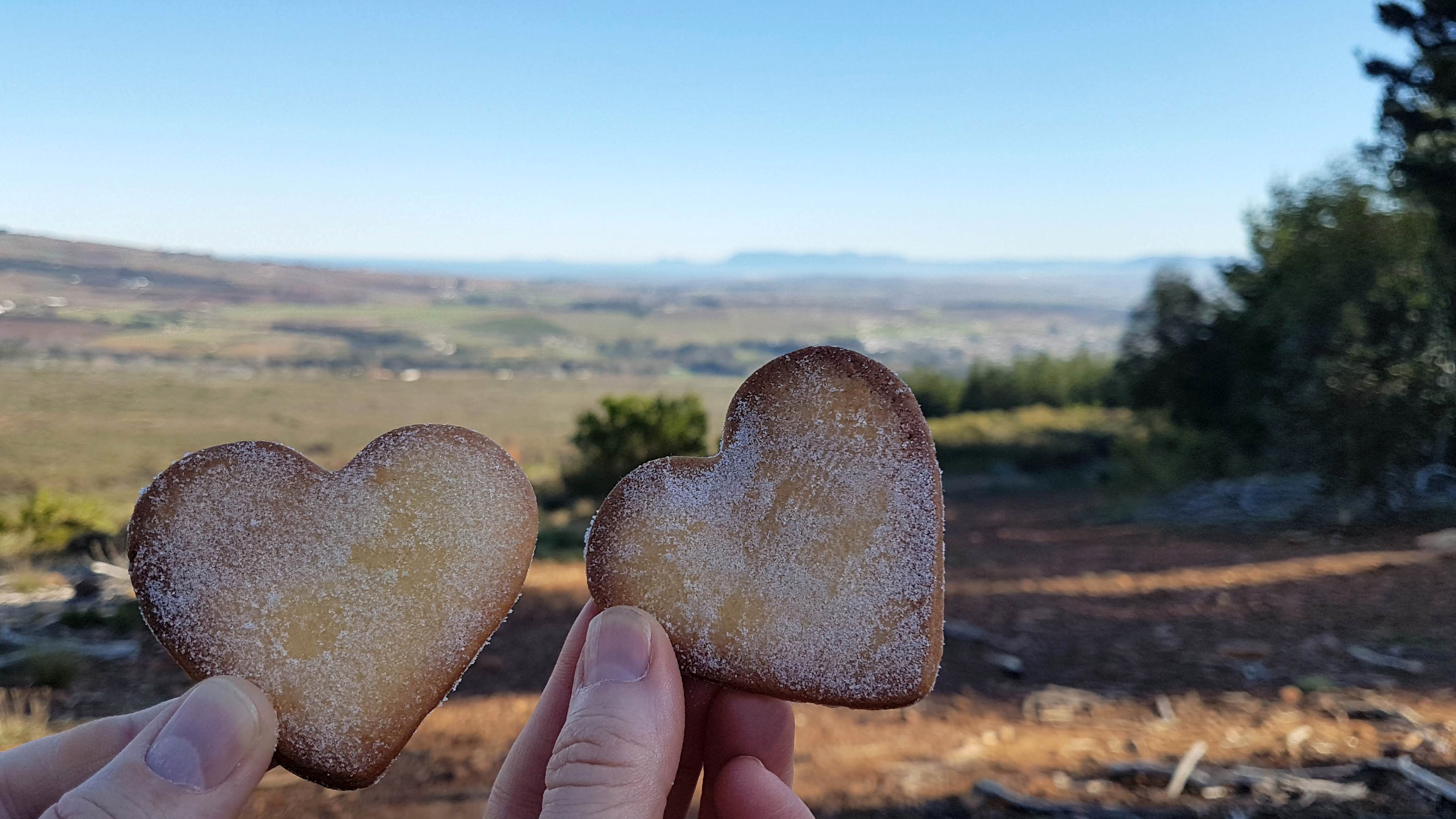 7 Reasons to Love Plone — Juizi