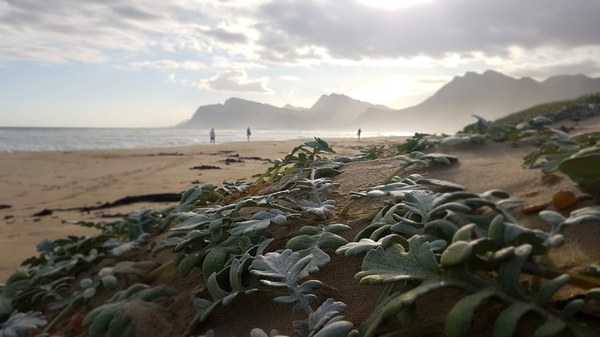 Juizi | We build websites worth having